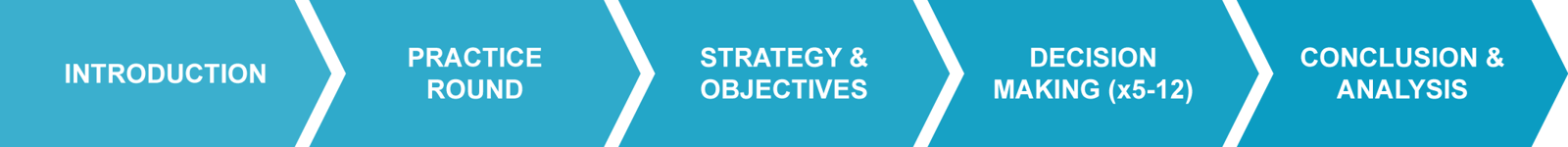 Cesim Simulations Overview | Cesim Business Simulation Games