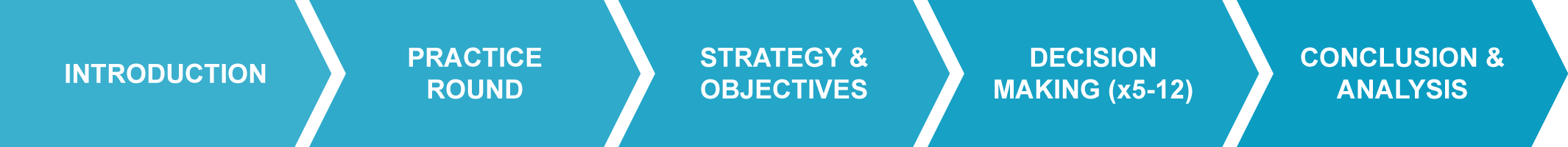 Cesim Simulations Overview | Cesim Business Simulation Games