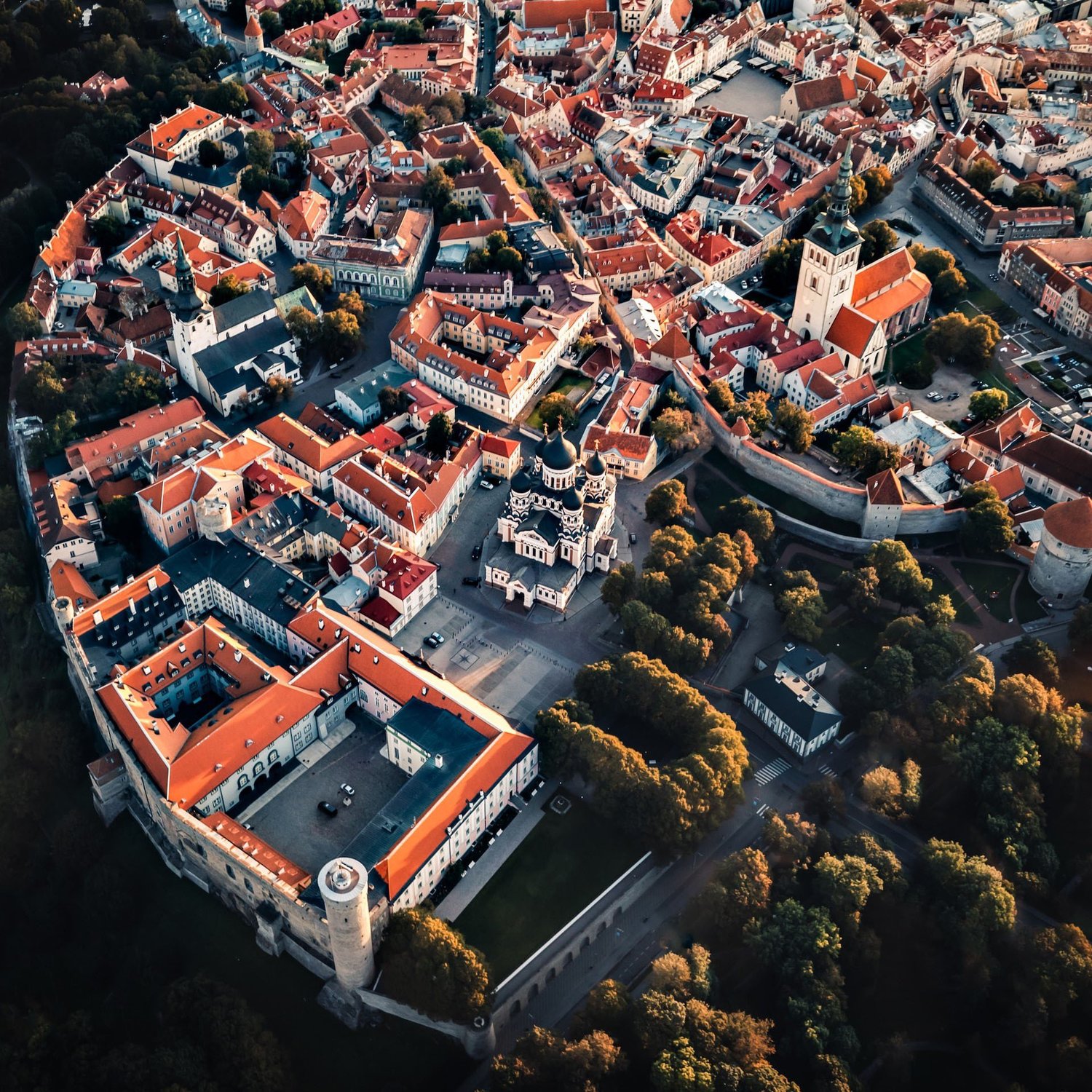 Student Business Simulation Competition | Cesim Elite