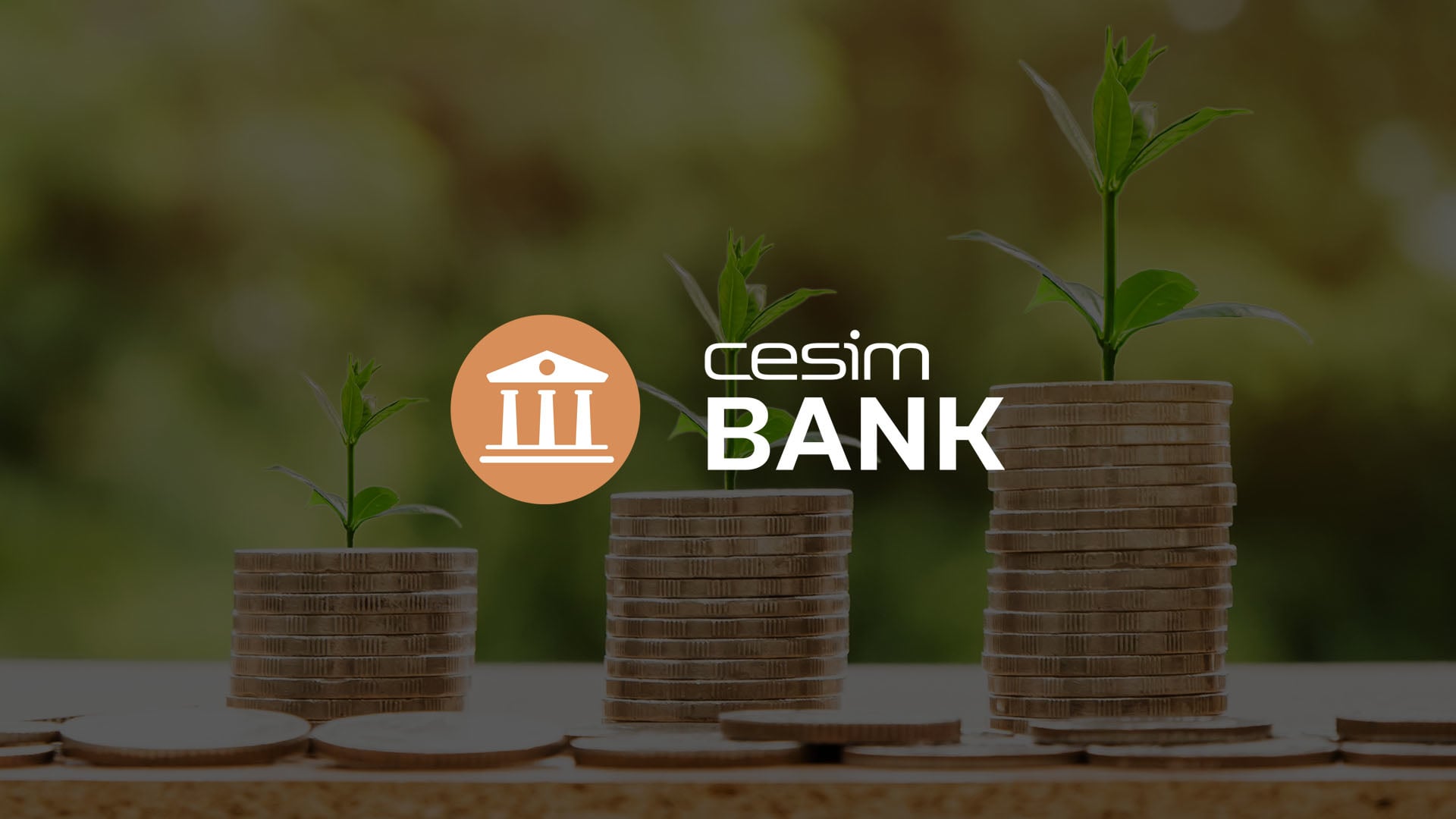 Banking Management Simulation | Cesim Bank
