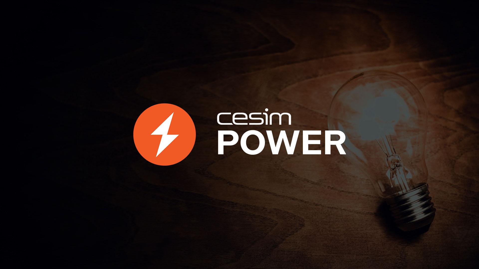 Utility Management Simulation | Cesim Power